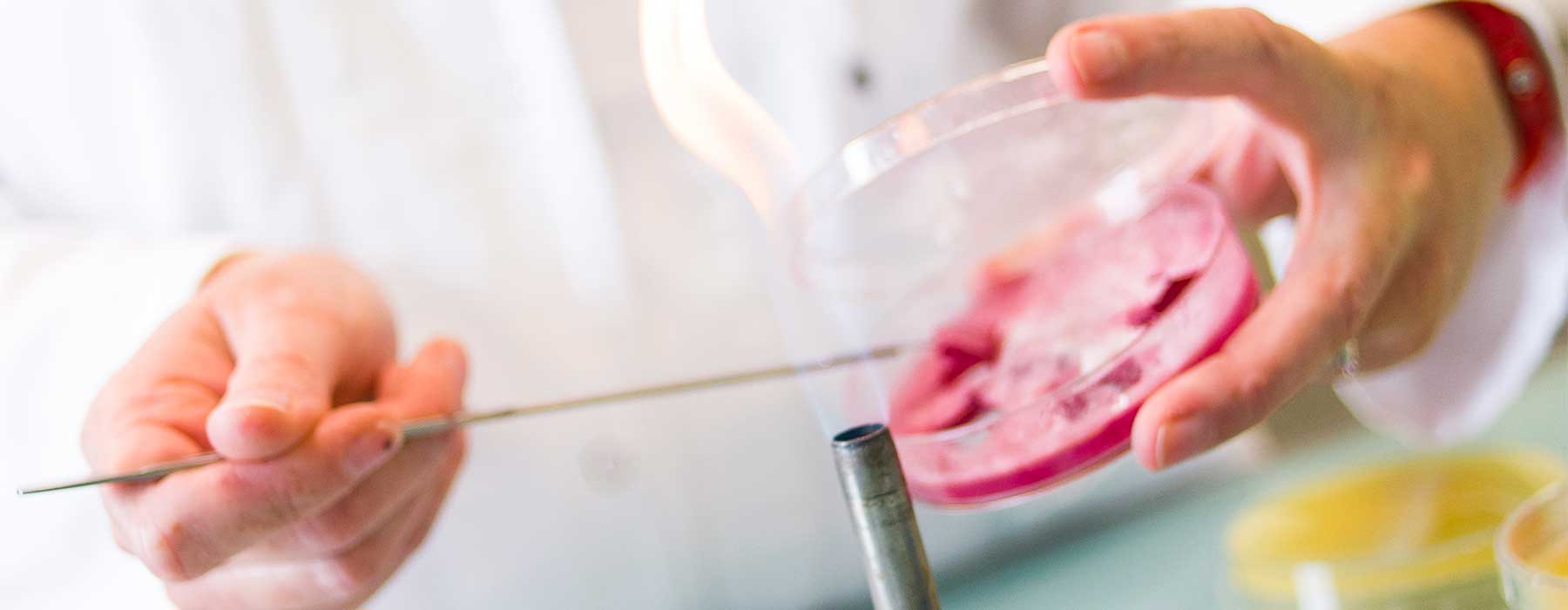 Sameh SELIM | UniLaSalle